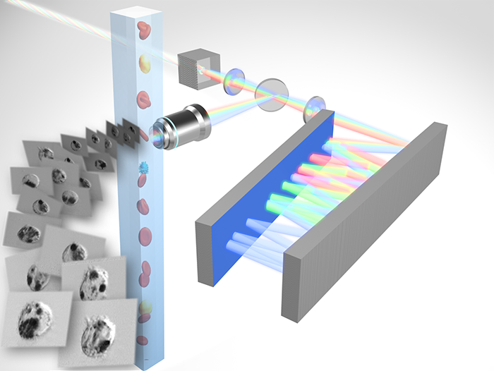 Imaging Flow Cytrometry Digitizers - Teledyne SP Devices